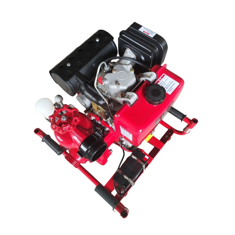 Portable diesel engine fire pump