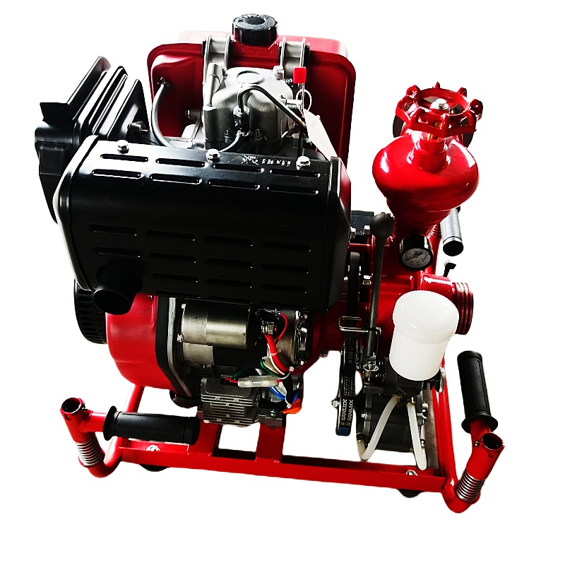 Portable diesel engine fire pump